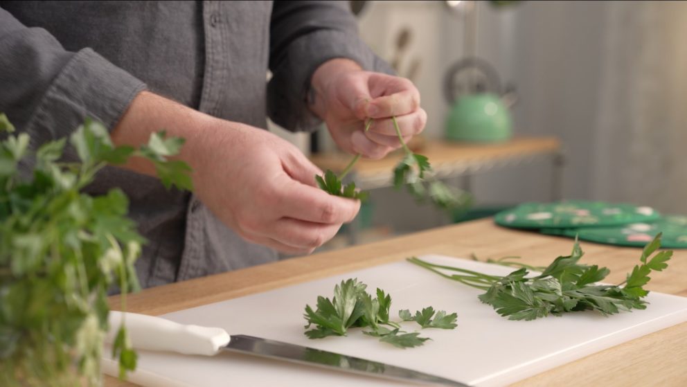 Cilantro | Greater Chicago Food Depository